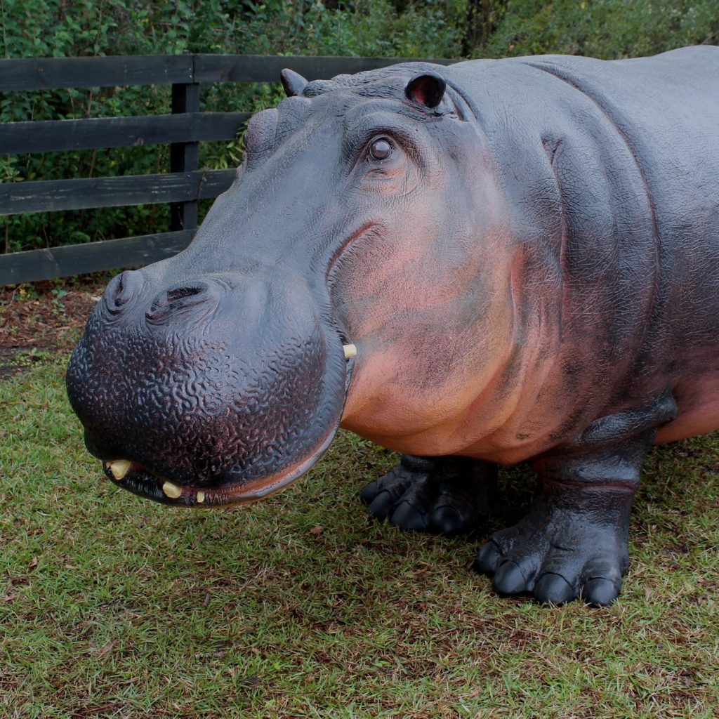 Life Size Hippo Statue | The Kings Bay