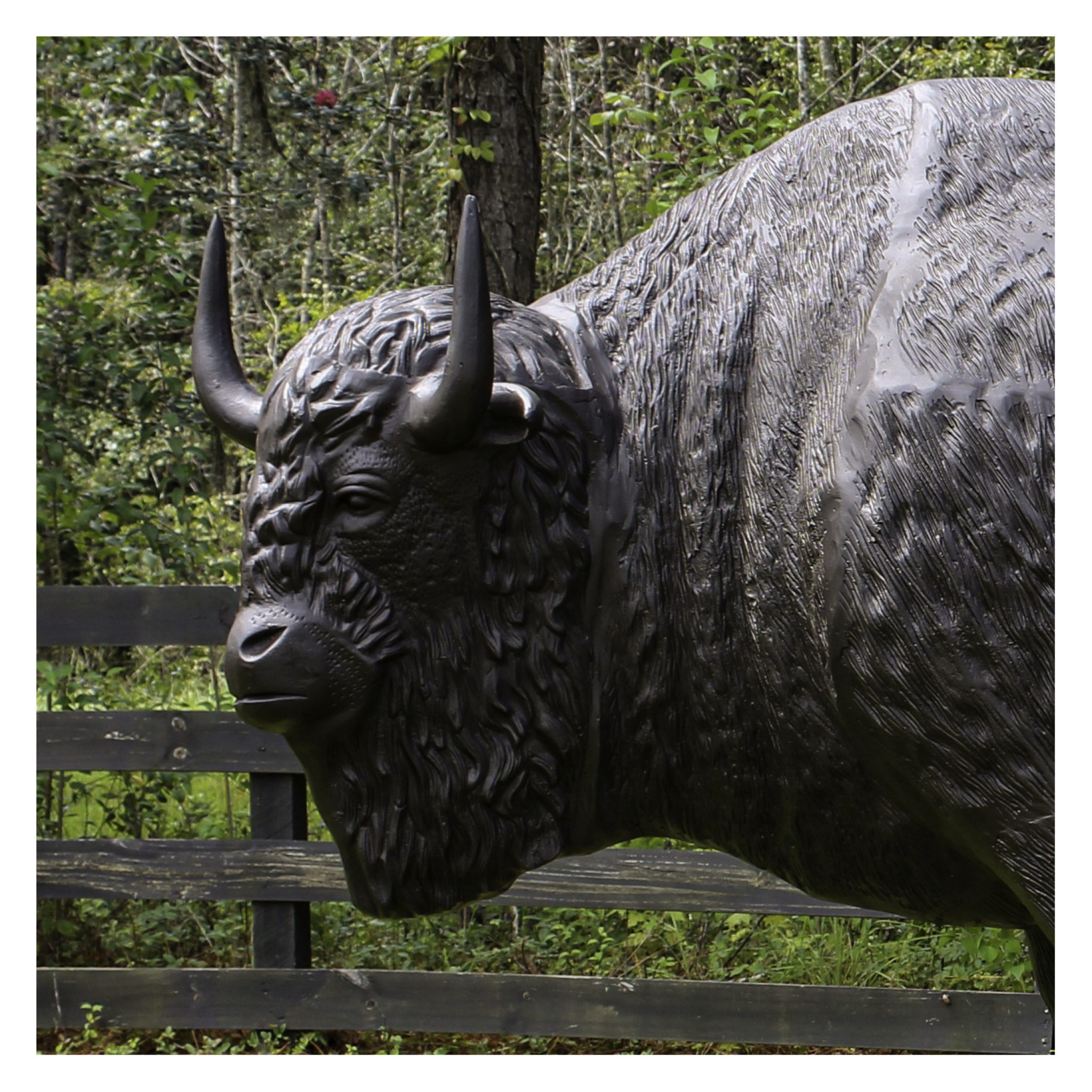 Bronze Painted Buffalo Life Size Statue in Metal Bison Huge Dark Rich ...