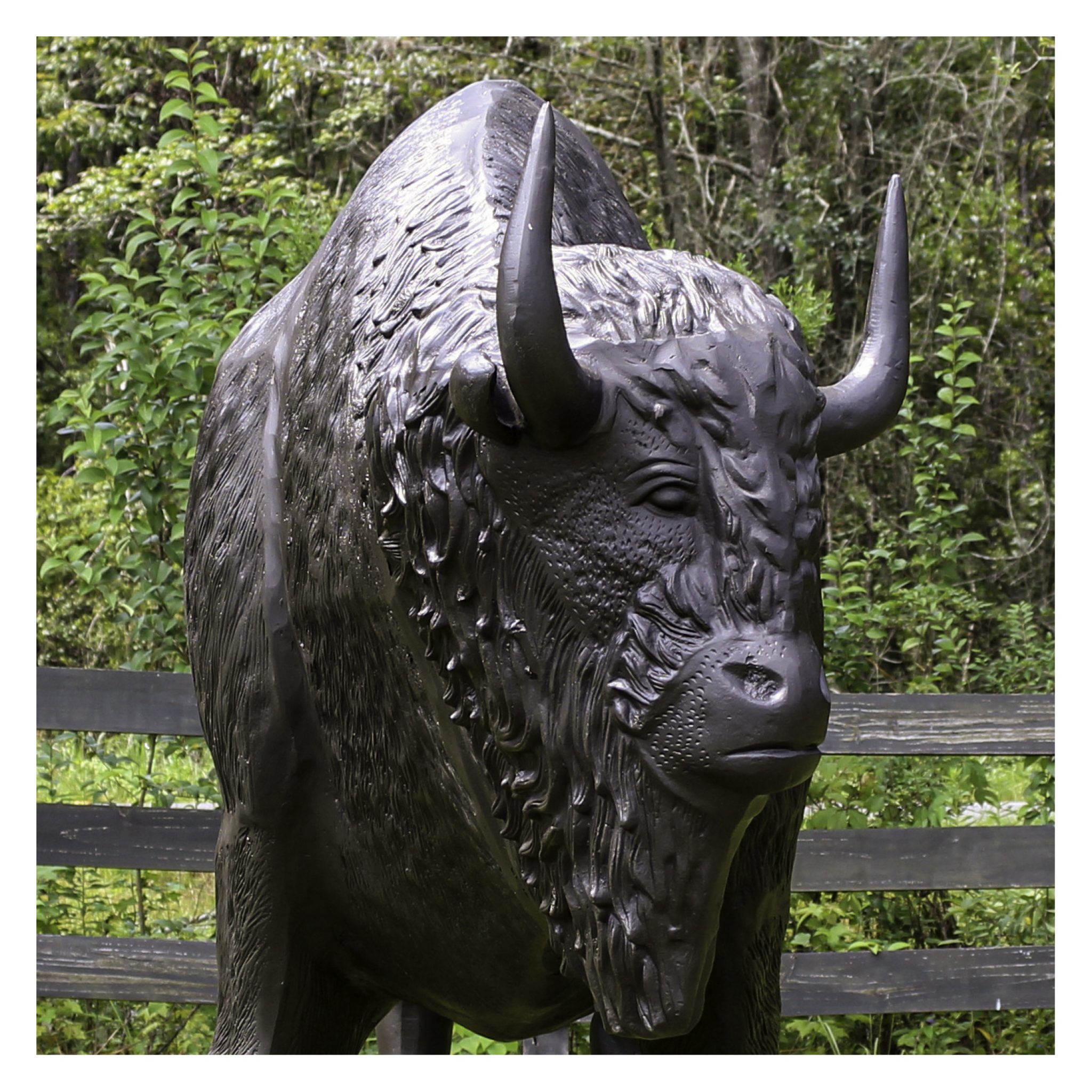 Bronze Painted Buffalo Life Size Statue in Metal Bison Huge Dark Rich ...